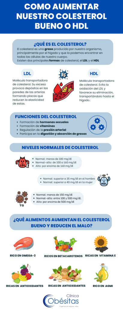 Como aumentar nuestro colesterol bueno o HDL